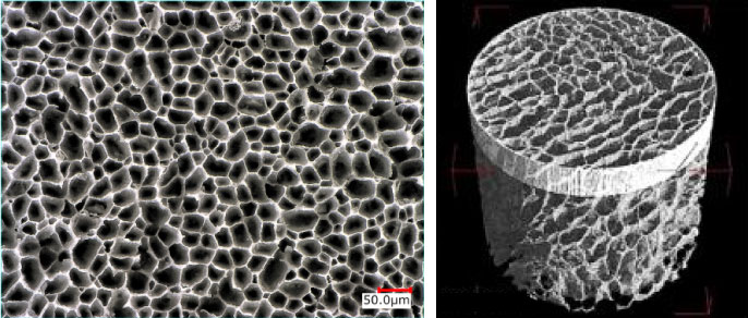 Orbray MAGAZINE Orbray株式会社